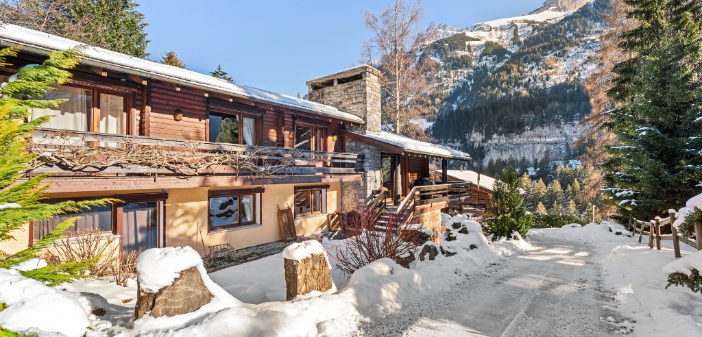 Alpine Architecture | Mansion Properties